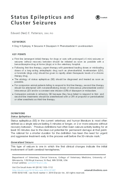 (PDF) Status epilepticus and cluster seizures
