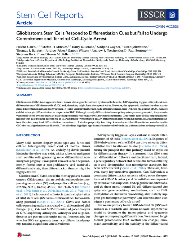 (PDF) Glioblastoma stem cells respond to differentiation cues but fail ...