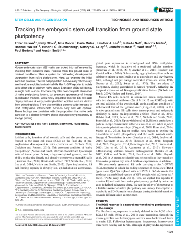 (PDF) Tracking the embryonic stem cell transition from ground state ...