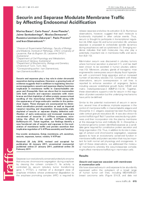 (PDF) Securin and Separase Modulate Membrane Traffic by Affecting ...
