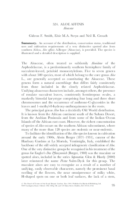 (PDF) 524. Aloe Affinis. Aloaceae
