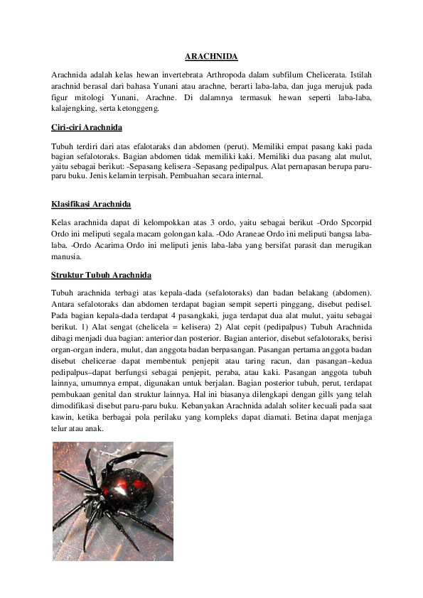 (DOC) ARACHNIDA