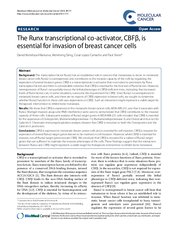 (PDF) The Runx transcriptional co-activator, CBFβ, is essential for invasion of breast cancer cells