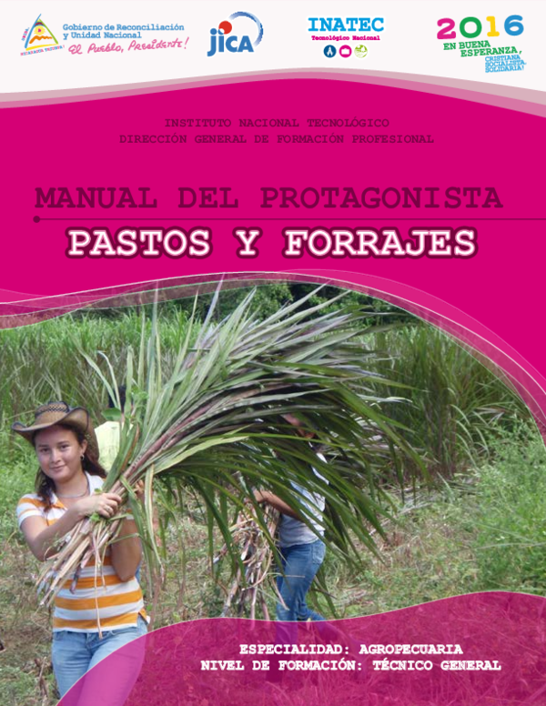 (PDF) PASTOS Y FORRAJES PASTOS Y FORRAJES INSTITUTO NACIONAL ...