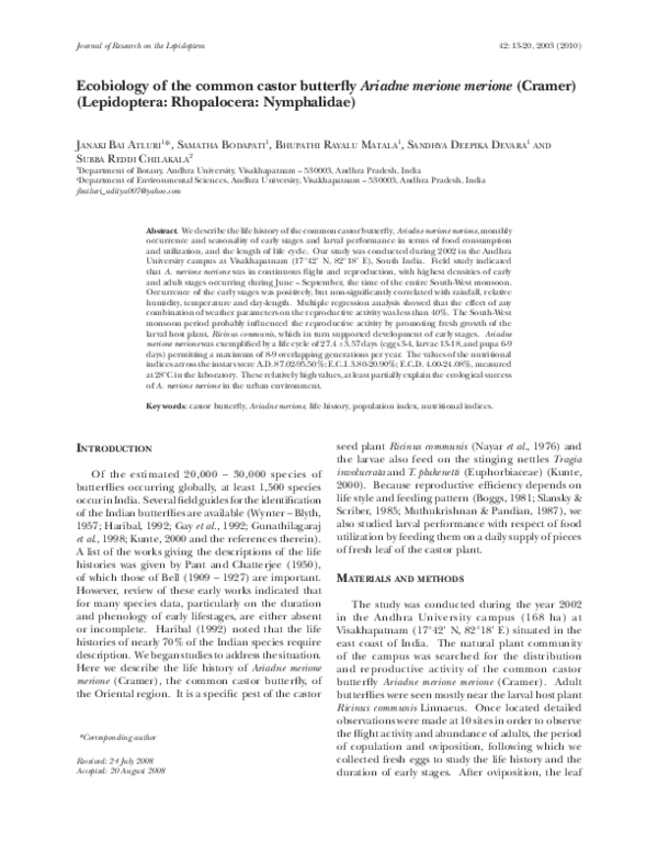 (PDF) Ecobiology of the common castor butterfly Ariadne merione merione ...
