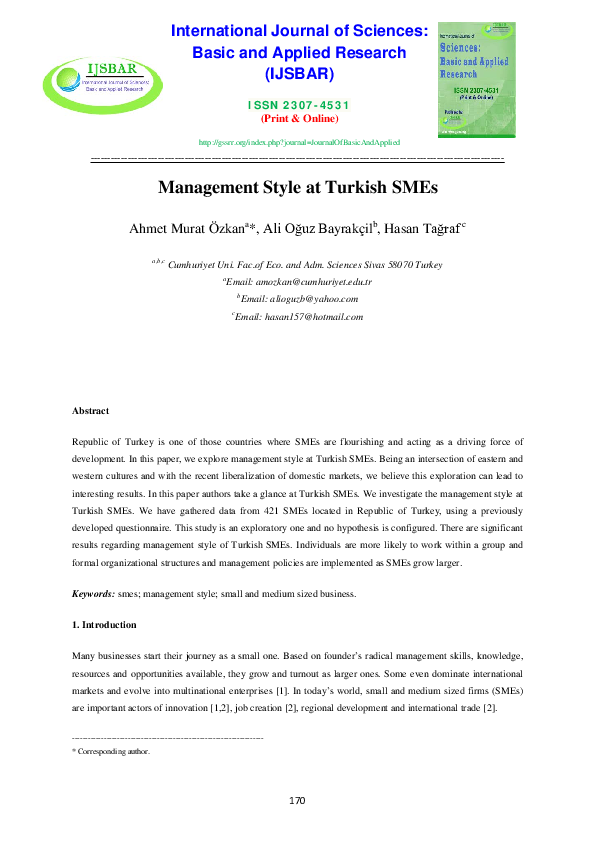 (PDF) Management Style at Turkish SMEs