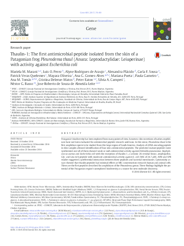 programa bacalaureat 2017