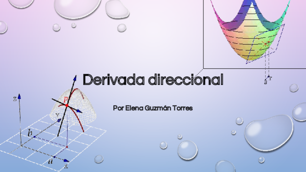 (PDF) Derivada direccional