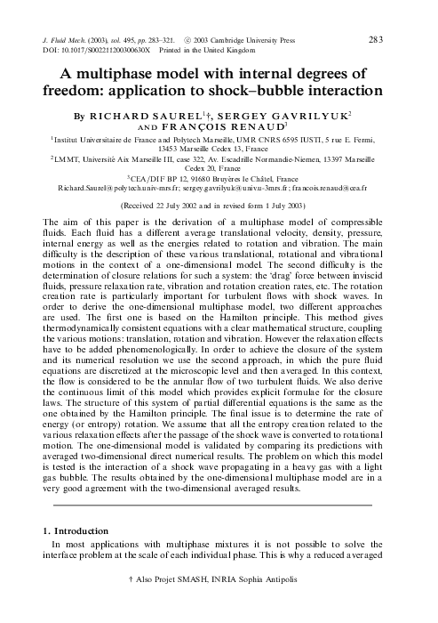 (PDF) A multiphase model with internal degrees of freedom: application to shock–bubble interaction