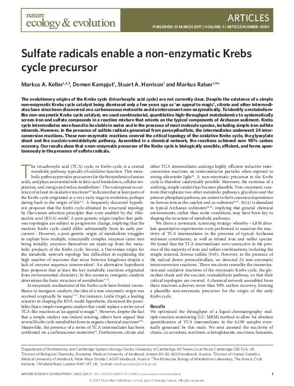 (PDF) Sulfate radicals enable a non-enzymatic Krebs cycle precursor