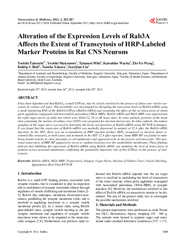 (PDF) Alteration of the Expression Levels of Rab3A Affects the Extent ...