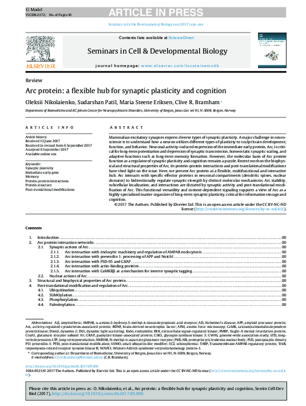(PDF) Arc protein: a flexible hub for synaptic plasticity and cognition