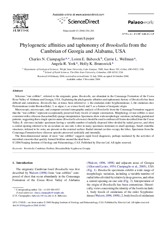 (PDF) Phylogenetic affinities and taphonomy of Brooksella from the ...