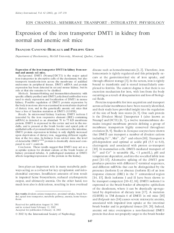(PDF) Expression of the iron transporter DMT1 in kidney from normal and ...
