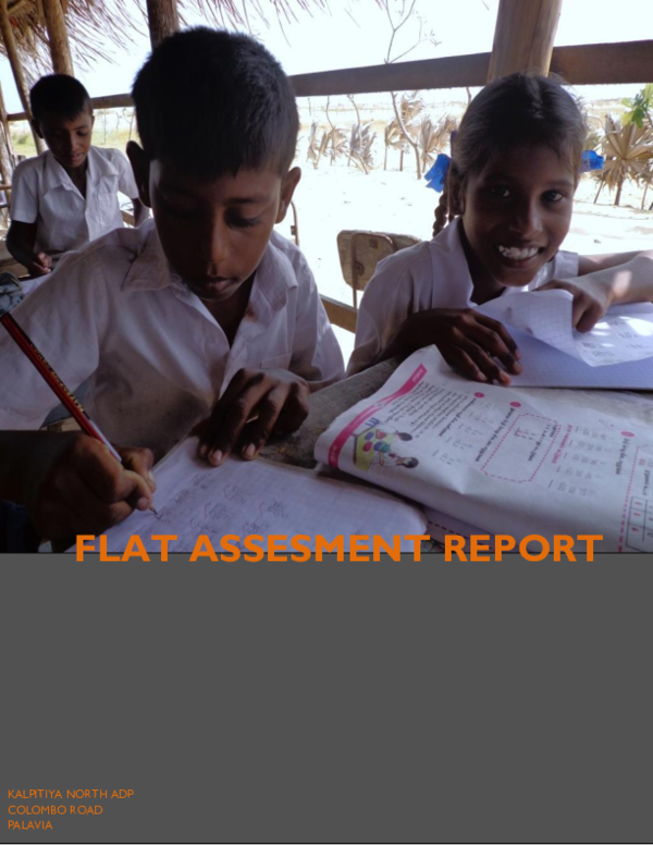 (DOC) FLAT ASSESMENT REPORT