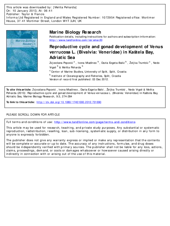 (PDF) Reproductive cycle and gonad development of Venus verrucos a L ...