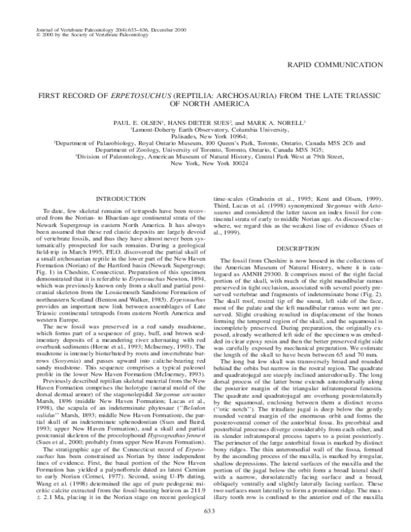 (PDF) First record of Erpetosuchus (Reptilia: Archosauria) from the ...