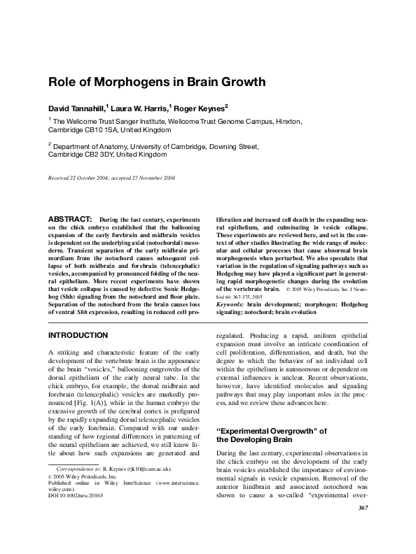 (PDF) Role of morphogens in brain growth