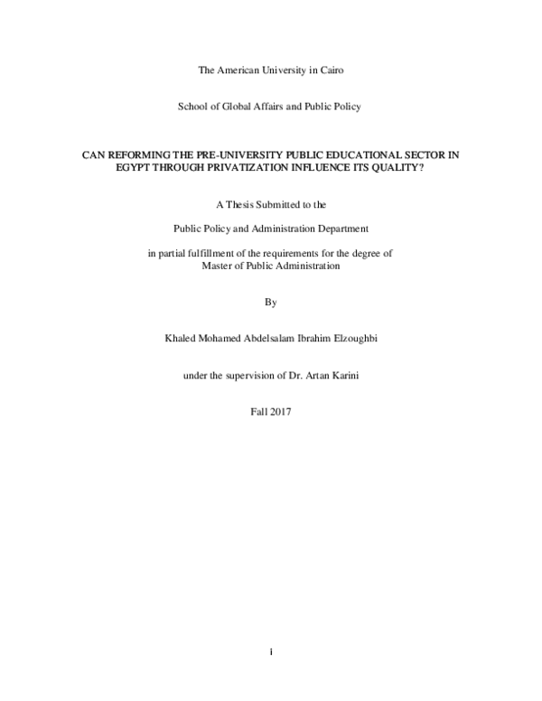 (PDF) The American University in Cairo School of Global Affairs and Public Policy UNIVERSITY ...