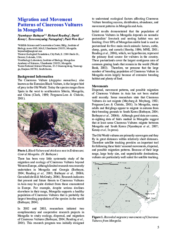 (PDF) Migration and movement patterns of cinereous vultures in Mongolia