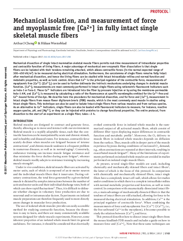 (PDF) Mechanical isolation and measurement of force and myoplasmic free ...
