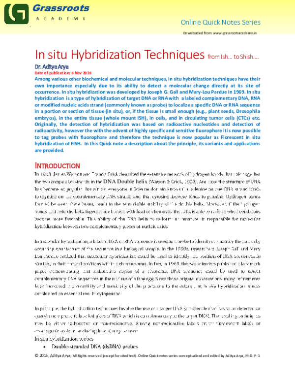 (PDF) In situ Hybridization Techniques from Ish… to Shish