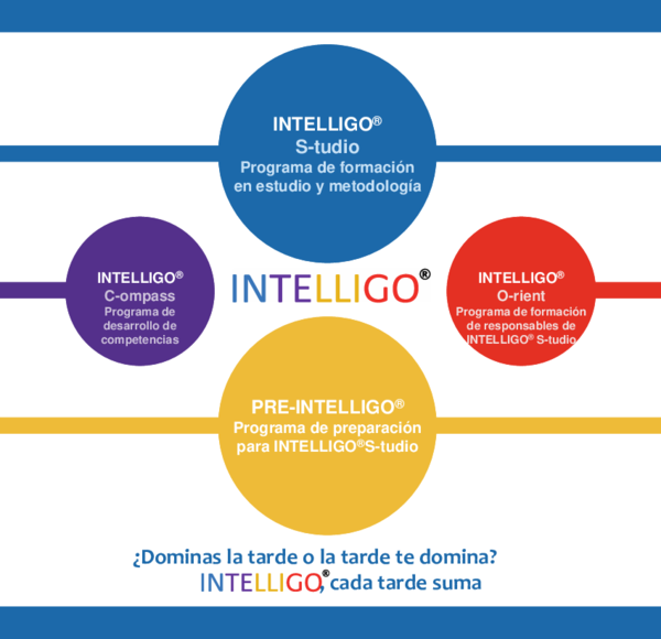 (PPT) INTELLIGO presentación