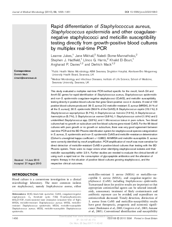 (PDF) Rapid differentiation of Staphylococcus aureus, Staphylococcus ...