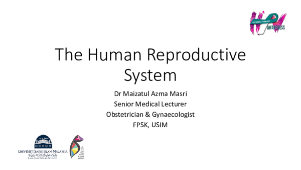 (PDF) The Human Reproductive System