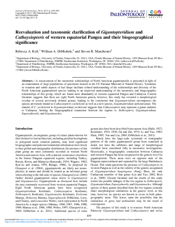 (PDF) Reevaluation and taxonomic clarification of Gigantopteridium and ...