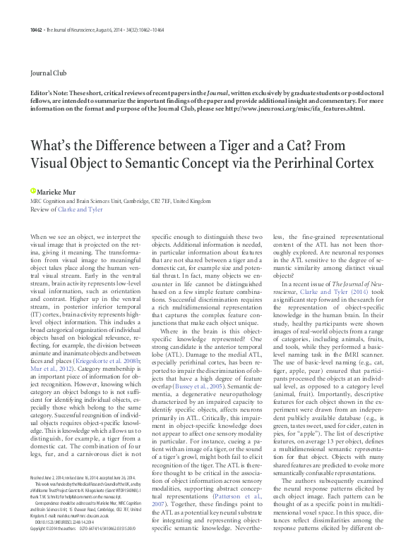 (PDF) What's the Difference between a Tiger and a Cat? From Visual ...