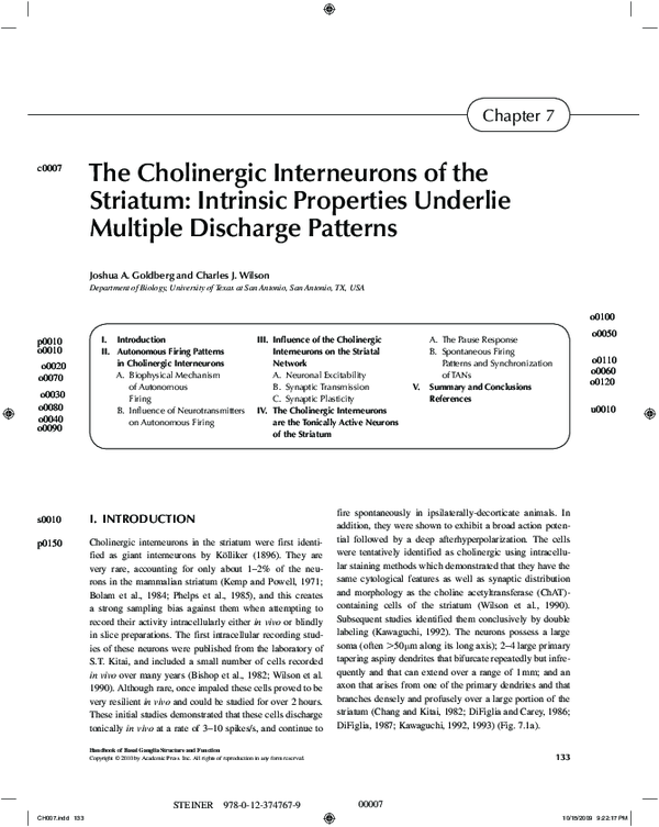 (PDF) The Cholinergic Interneurons of the Striatum