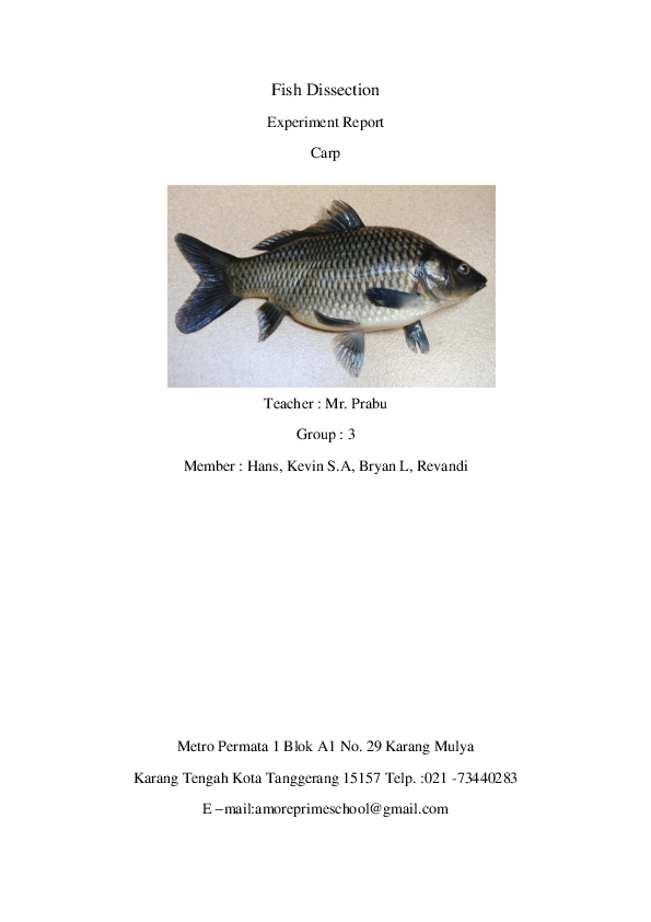 (DOC) Fish Dissection