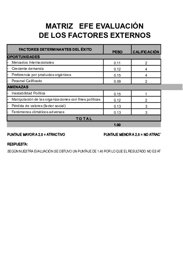 (XLS) ESTRATEGIA MATRIZ EFE | nestor pizarro - Academia.edu