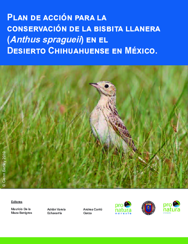 (PDF) Plan de conservación del chorlo llanero ESTRATEGIA PARA LA ...