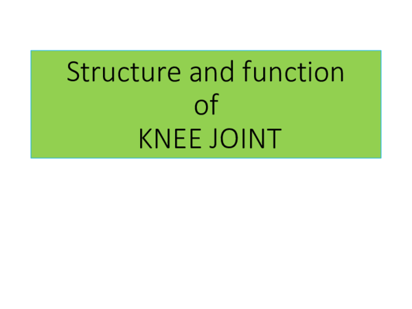 (PPT) Knee joints structure and function