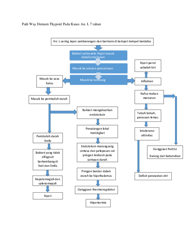 (DOC) Path Way Demam Thypoid Pada Kasus An
