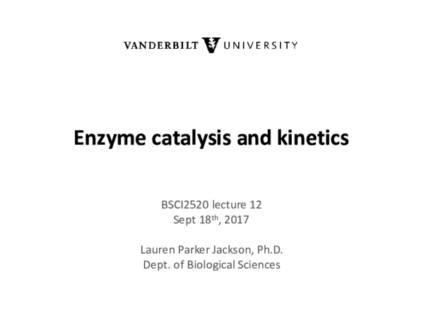 (PPT) Enzymes final
