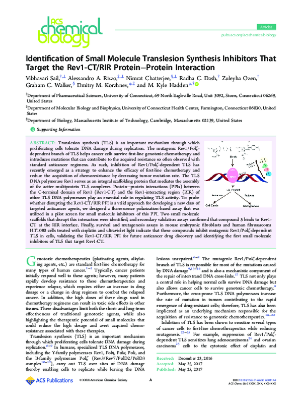 (PDF) Identification of Small Molecule Translesion Synthesis Inhibitors ...