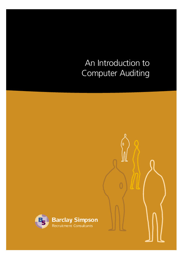 (PDF) Introduction Computer Auditing
