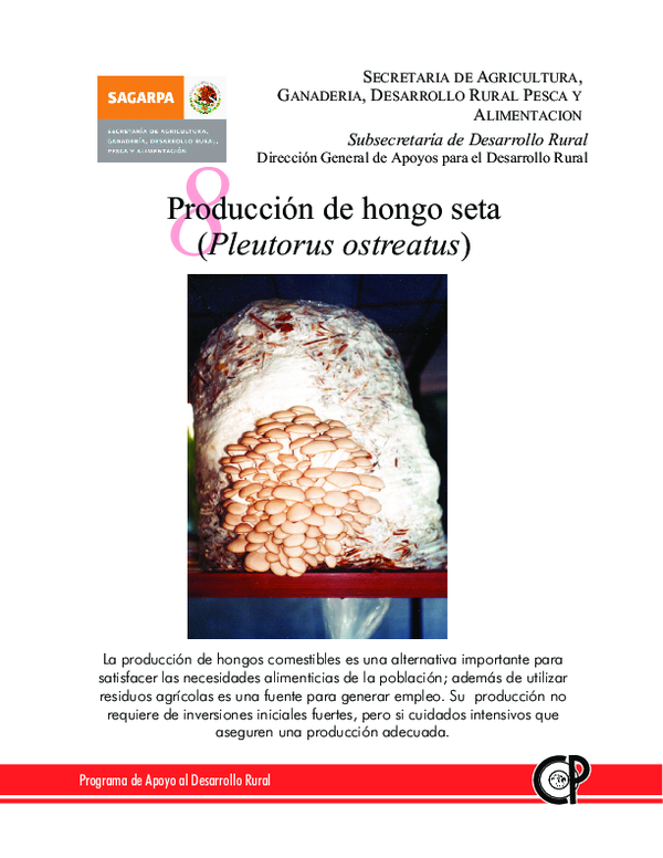 (PDF) Produccion de Hongo Seta