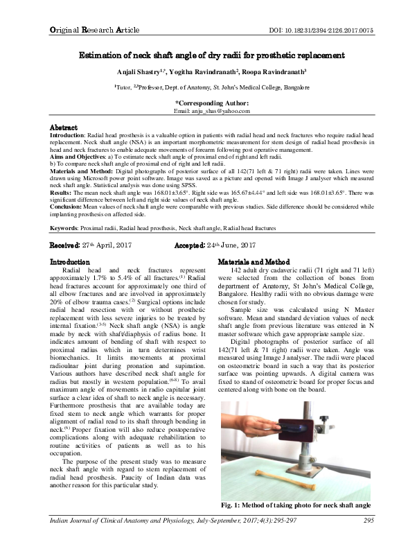 (PDF) Estimation of neck shaft angle of dry radii for prosthetic ...