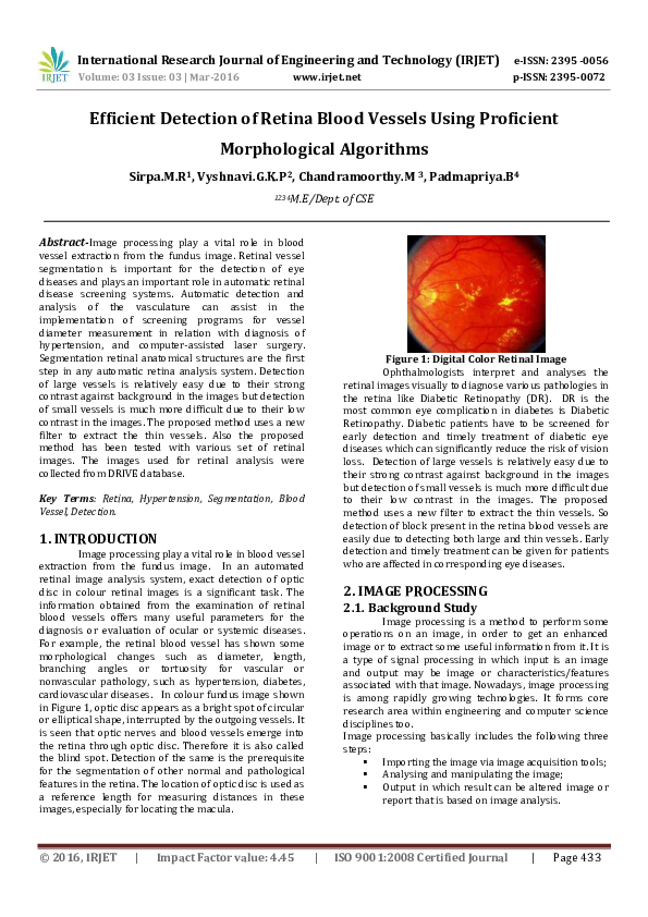 (PDF) Efficient Detection of Retina Blood Vessels Using Proficient Morphological Algorithms