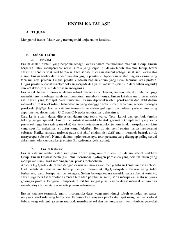 (DOC) laporan biologi enzim katalase