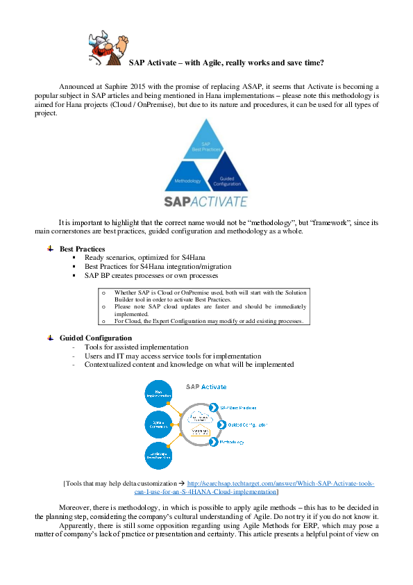 Doc Sap Activate With Agile Really Works And Save Time