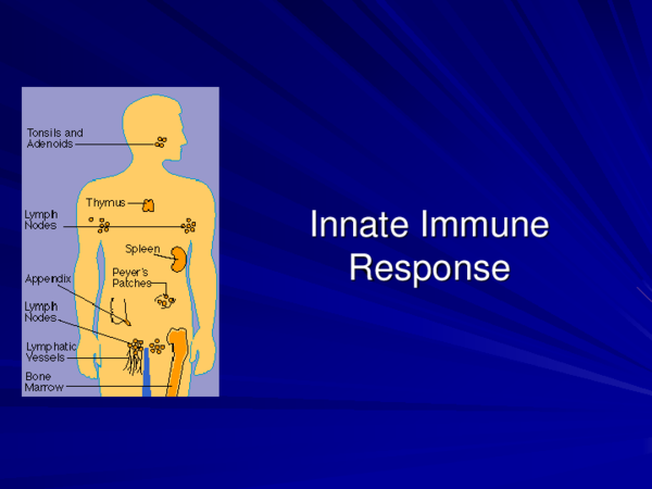 (PPT) Innate Immune Response