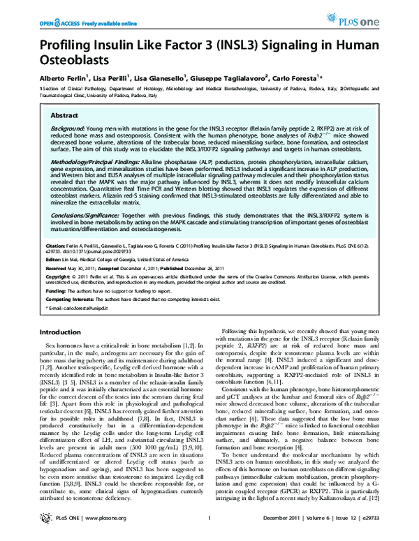 Pdf Profiling Insulin Like Factor 3 Insl3 Signaling In Human