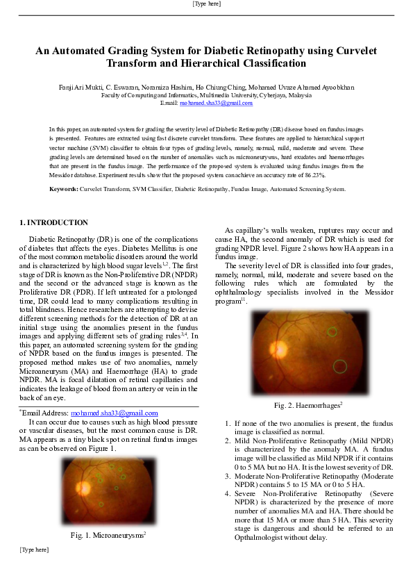 (PDF) An Automated Grading System for Diabetic Retinopathy using Curvelet Transform and ...
