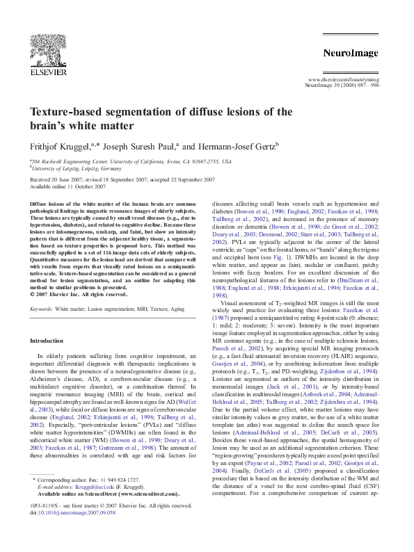 (PDF) Texture-based segmentation of diffuse lesions of the brain’s ...