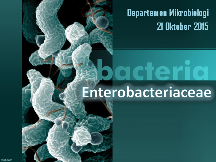 (PPT) Enterobacteriaceae